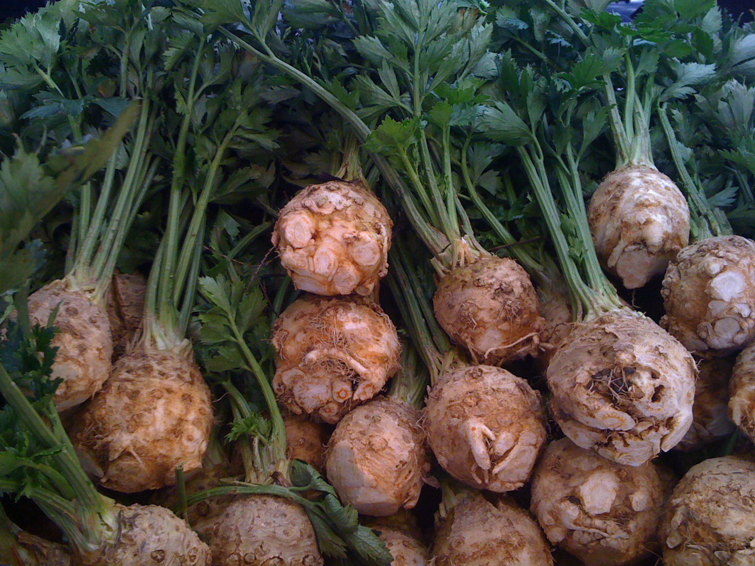 At the market | Celeriac aka celery root (recipe: Céleri rémoulade ...