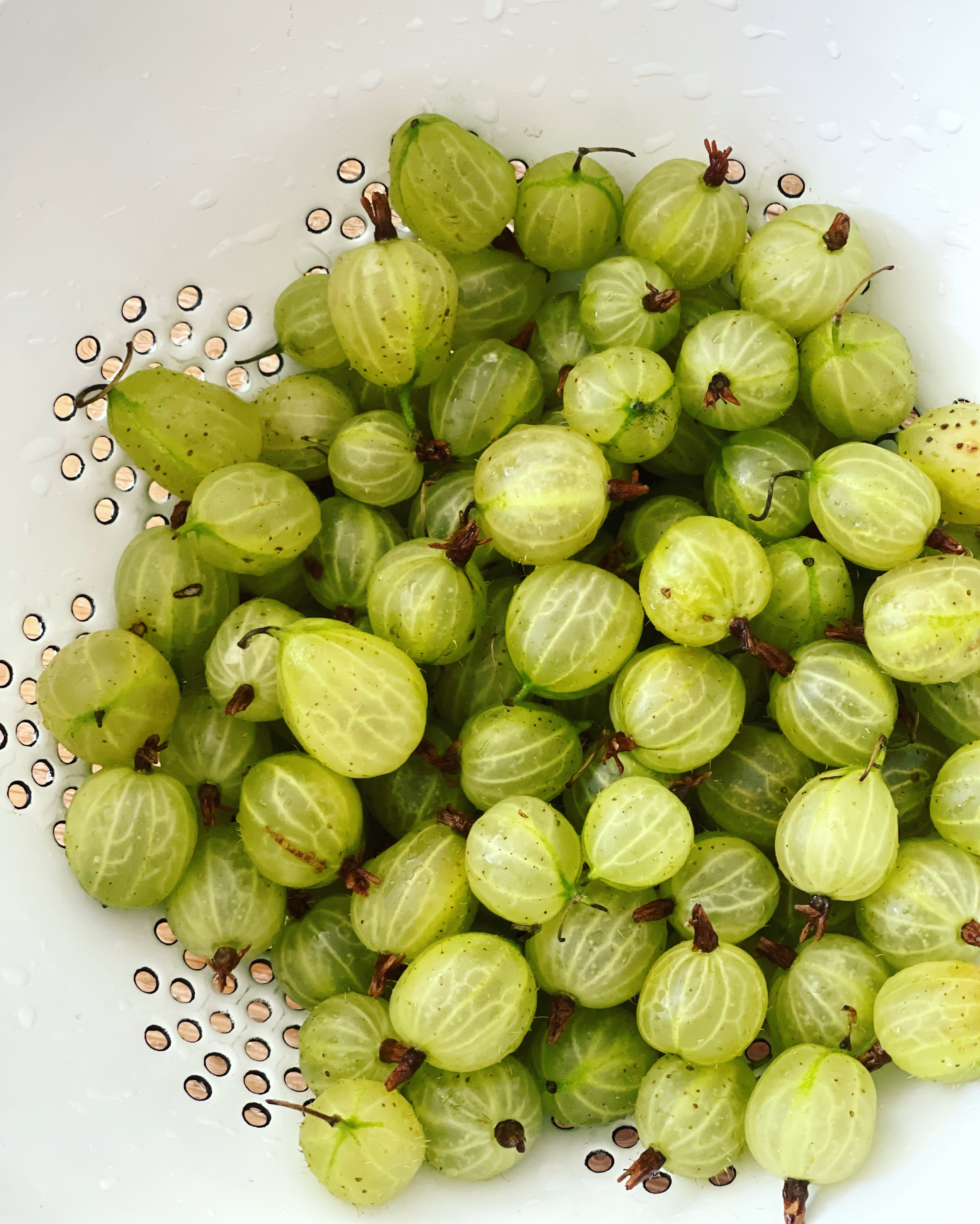 Gooseberry sauce | Nettle and Quince